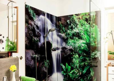 Cina Vetro su ordinazione della doccia del bagno, stampa ceramica temperata di Digital sul vetro in vendita