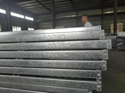 China Rollo de la hoja de la punzonadora del andamio de Kwikstage del metal que forma la máquina en venta