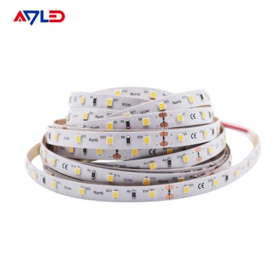 Chine Volts Cuttable les plus lumineux flexible de bande élevée imperméable de C.P. LED 2835 12 extérieurs à vendre