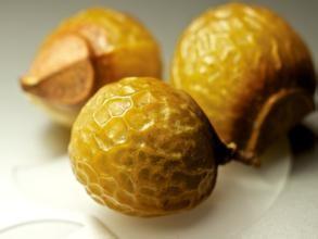 China 100% natural Soap Nut Extract Sapindussaponin 40% natural surfactant washing products additive for sale