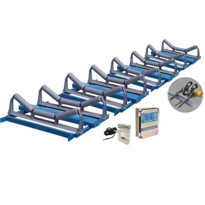 Cina ICS Electronic Belt Scale Blu Sistemi di pesatura a nastro trasportatore ad alta precisione in vendita