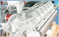 Cina Gruppo elettrogeno insonorizzato del generatore aperto del biogas 500kw 1500/1800rpm in vendita