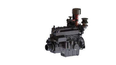 Cina Gruppo elettrogeno del biogas di raffreddamento ad acqua 19,6 L efficienza del generatore del gas naturale in vendita