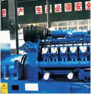 Cina Generatore raffreddato ad acqua naturale silenzioso del gruppo elettrogeno del gas 800kW in vendita