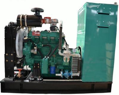 Cina 50kW gruppo elettrogeno del biogas GPL 1500rpm nella linea motore in vendita