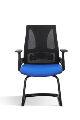 Cina 256