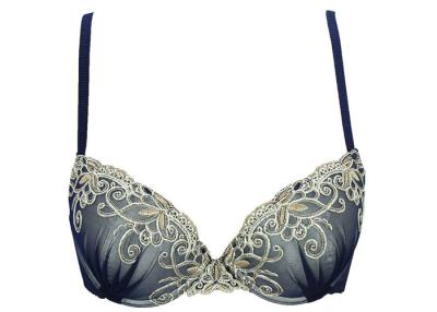Cina La comodità rossa spinge verso l'alto il reggiseno dell'immersione del reggiseno del ricamo di Underwire del reggiseno in vendita
