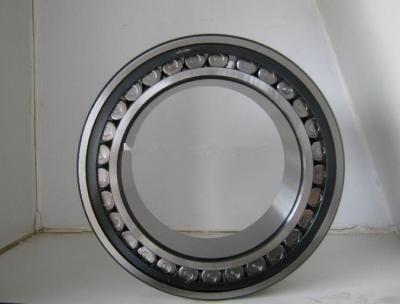 中国 補足物の二重列の重機のための円柱軸受 Sl014856 販売のため