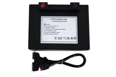 Cina 3000 batterie del carrello di golf di Ion Golf Trolley Batteries 12V del litio dei cicli 18AH in vendita