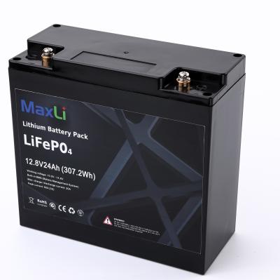 Cina Litio profondo ricaricabile Ion Battery di volt 24Ah del ciclo 12 in vendita