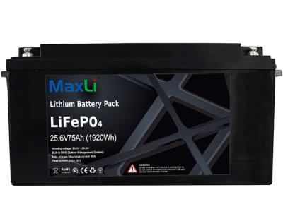 Cina ODM dell'OEM della batteria al litio di ISO9001 1920Wh 25.6V 75Ah Lifepo4 in vendita