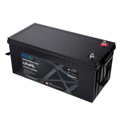 Cina Batterie del carretto di golf di Bluetooth IP65 50Ah 48V 3000 cicli in vendita