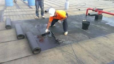SBS/APP Plastic Elastomer Modified Asphalt Waterproof Membrane for Roof and