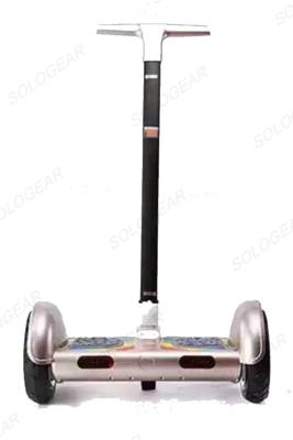 China Elektrische Autoped van Eco de Vriendschappelijke Segway, Autoped van de Volwassenen de Elektrische Blokkenwagen van Weg Te koop