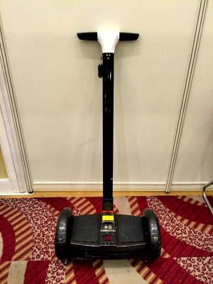 中国 棒によって運送者のスクーターの サムスン 動かされる個人的な電池 Powerd 販売のため