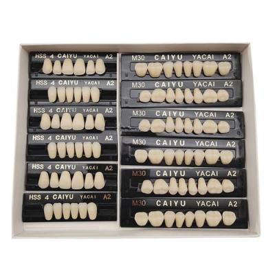 중국 High Durability Acrylic Resin Composite Dental Teeth 판매용