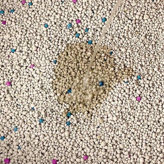 Bentonite cat litter product close-up