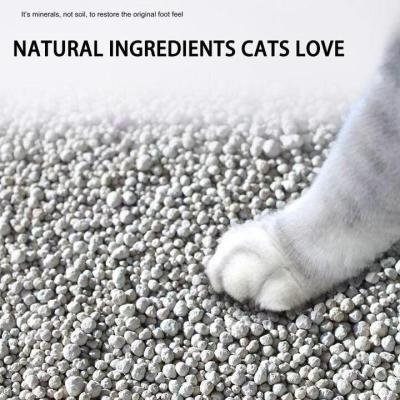 Cina Vendita diretta da fabbrica Super pulita Hard Clumping Bentonite Cat Litter Free Polvere Multiple tipi di lettiera per gatti in vendita
