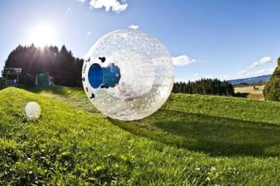 Cina Palla gonfiabile su ordinazione di Zorb, palla umana del criceto di Zorb della terra interessante in vendita
