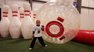 Cina Il giardino gonfiabile dei bambini gioca la pista della scanalatura di scorrimento di Zorb con il bowling gonfiabile in vendita