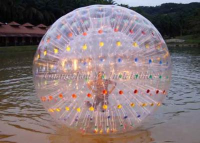Cina Palla umana gonfiabile del criceto del punto gigante di colore per il parco dell'acqua di esplosione in vendita