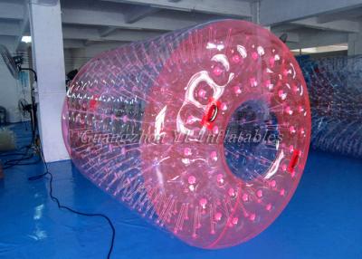 Cina L'acqua gonfiabile dei bambini gioca il barilotto adulto dell'acqua di rotolamento di dimensione dell'attrezzatura del gioco in vendita
