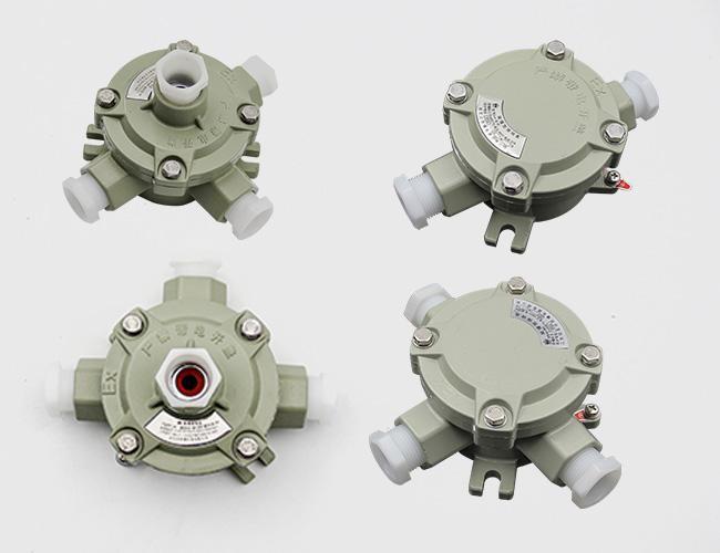 WF1 Explosion Proof Electrical Junction Box Die Casting Aluminum IP65 2 3 Entries Horizon 1
