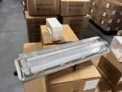 China 120-Degree Beam Angle Explosion Proof Led Tube Fixture Advanced Anodizing And >80 CRI for sale