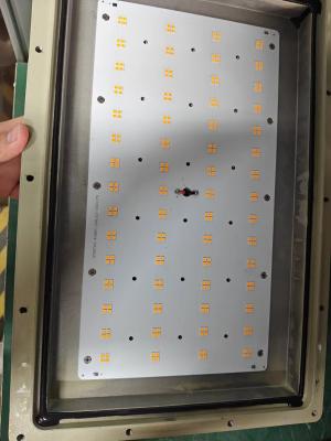 China IP66 WF2 Protection Explosion Proof LED Flood Light For Pendent Mounting For Gas Station Workshop for sale