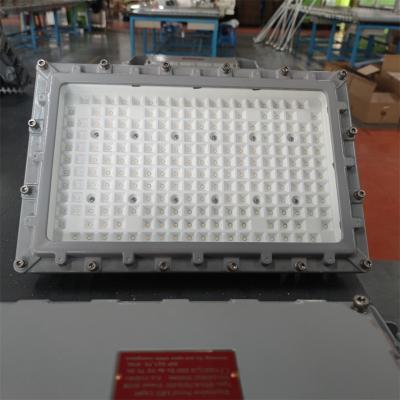 China Explosion-proof light Anti Corrosion CREE LED Floodlight with MEANWELL Driver 145Watt 160lm/w for sale