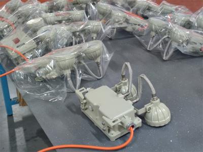 中国 ゾーン1 防火緊急灯 2*5ワット 販売のため