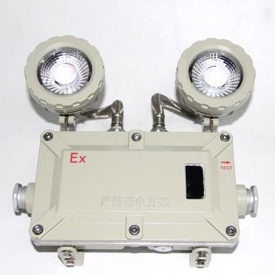 Cina Proiettore LED antideflagrante IP66 WF2 con protezione, per ambienti onshore e offshore, con chip CREE in vendita
