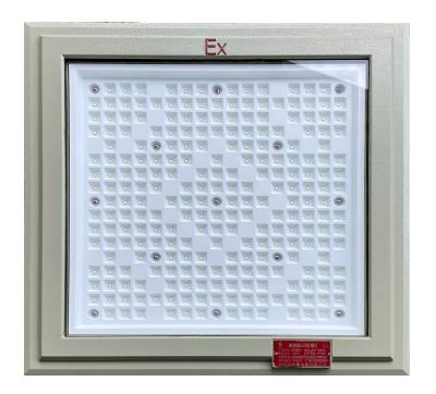 중국 Zone2 Zone 21 방폭 LED 투광등 IP66 보호 브래킷 장착으로 유연한 설치 가능 판매용