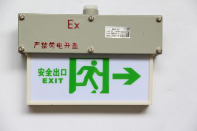 中国 クラス 1 Div 2 緊急照明 2*3Watt 180 Mins 危険な場所や環境のための緊急時間 販売のため