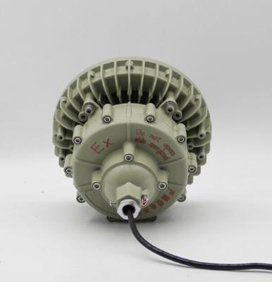 Cina ATEX ha approvato luci principali protette contro le esplosioni della baia di zona 1&21 della fiamma dello stadio delle luci le alte in vendita