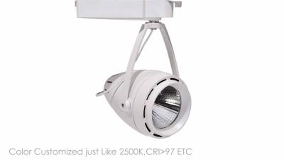 Cina La pista del risparmio energetico 10W Dimmable accende 100v - illuminazione della pista del negozio 240v in vendita