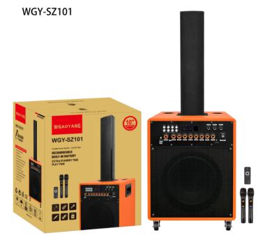 China 80W Output RMS Power Portable Party Speaker with 10-inch Subwoofer and 110MM Speaker Magnet for Outdoor Entertainment for sale