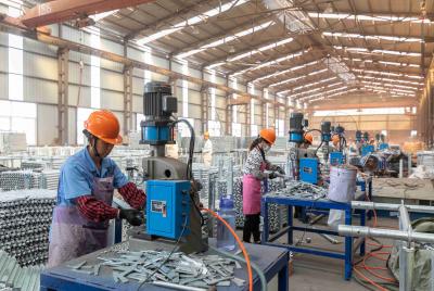 Cina L'armatura utilizzata della costruzione di sistema dell'armatura ha galvanizzato l'armatura di Ringlock in vendita