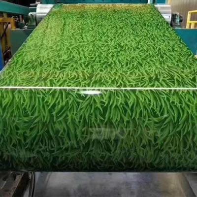 Chine Matériel de bobine conçu par modèle d'alliage d'aluminium de revêtement de couleur pour la barrière de mur à vendre
