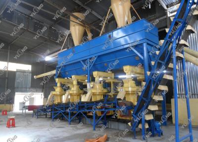 Cina Linea di produzione economizzatrice d'energia della pallina della biomassa, impianto di produzione di legno della pallina della segatura in vendita