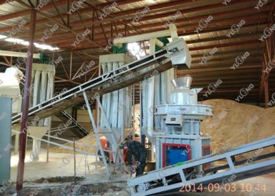 Cina Linea di produzione della pallina della biomassa dell'eucalyptus pallina di legno che fa attrezzatura 2-3ton/h in vendita