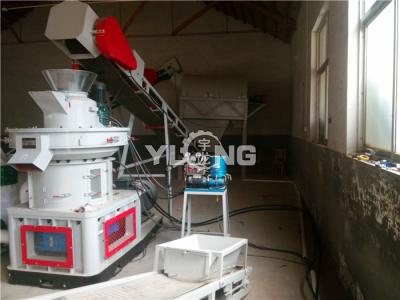 Cina linea di produzione della pallina della biomassa di 12mm - di 4, pallina 90KW che fa macchina in vendita
