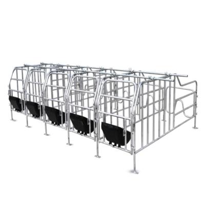 China New Design Pigs Gestation Crate for Sows Gestation Stalls Animal Cages for sale