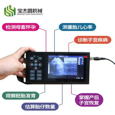 China Veterinarian Ultraportable Ultrasound Scanner Machine Linear Probe Supplier Animal Ultrasound Machine Veterinary Used for sale