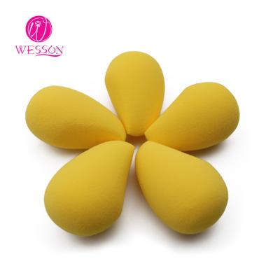 Cina Il vento lavabile del mango modella l'insieme della spugna di bellezza di trucco 5pc in vendita