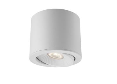 Cina Pure in alluminio da incasso per montaggio superficiale Cilindro luce per teatro / galleria / Albergo COB 7W Colore Bianco in vendita