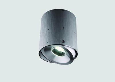 Cina Plafoniere all'aperto del supporto LED di vampata IP54, Downlight principale regolabile messo per i depositi dell'indumento in vendita