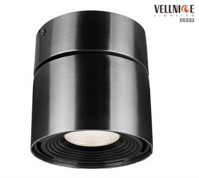 Cina 14Watt ha spazzolato le plafoniere all'aperto del LED con alto IP44 impermeabile 1050lm in vendita