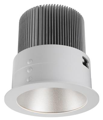 Cina gli impiegati di colore di 30W 2700-3000K hanno tagliato il punto di alluminio Downlights/R3B0114 di 110MM 700mA LED in vendita