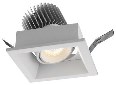 Cina 30deg l'inclinazione 7W ha tagliato le luci calde bianche di volt 37V LED dell'uscita 180mA di 70*70mm per i depositi operati/R3B0115 in vendita